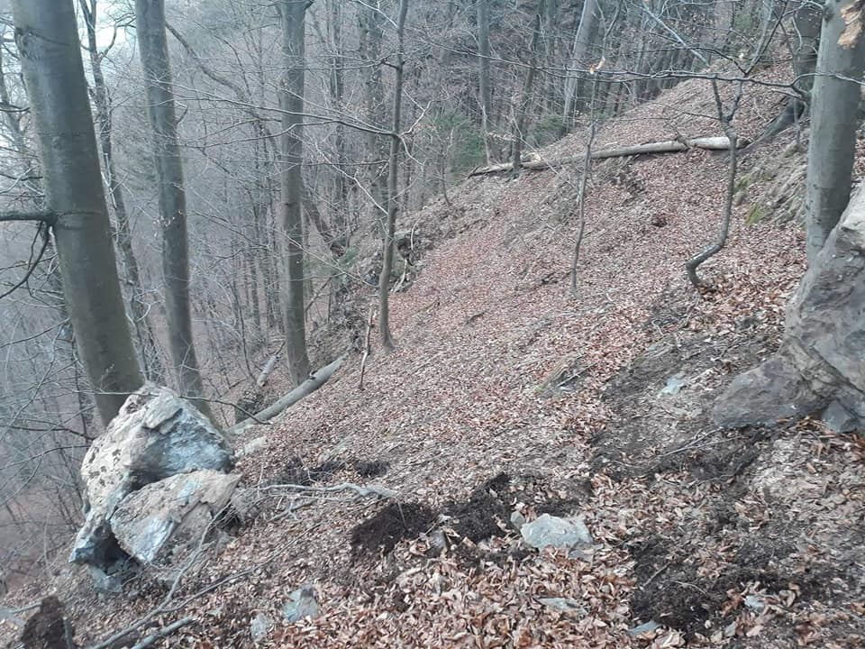 5-tonska skala odstranjena. Cesta Dravograd - Trbonje ponovno odprta za ...